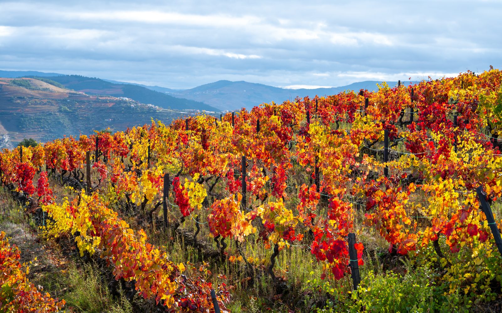 3 pratos típicos da Toscana - Blog da Cellar